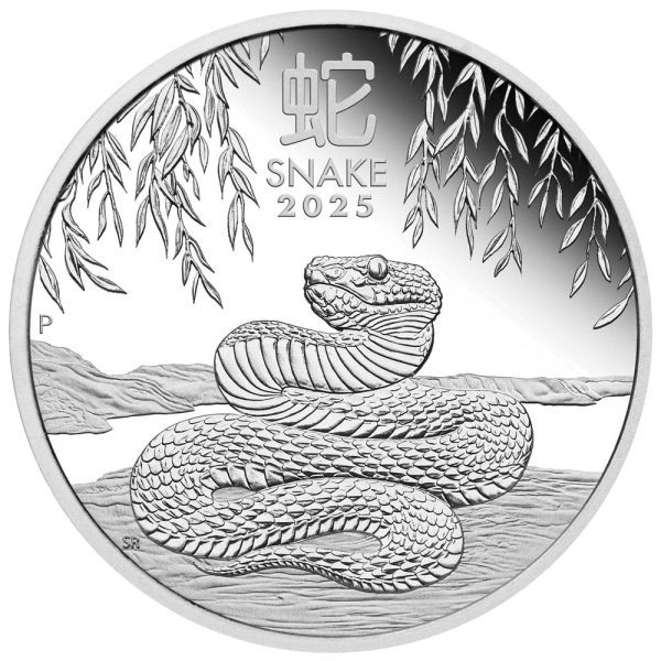 Buy 1oz Perth Mint Year of the Snake 2025 Silver Coin - Gold Bullion ...